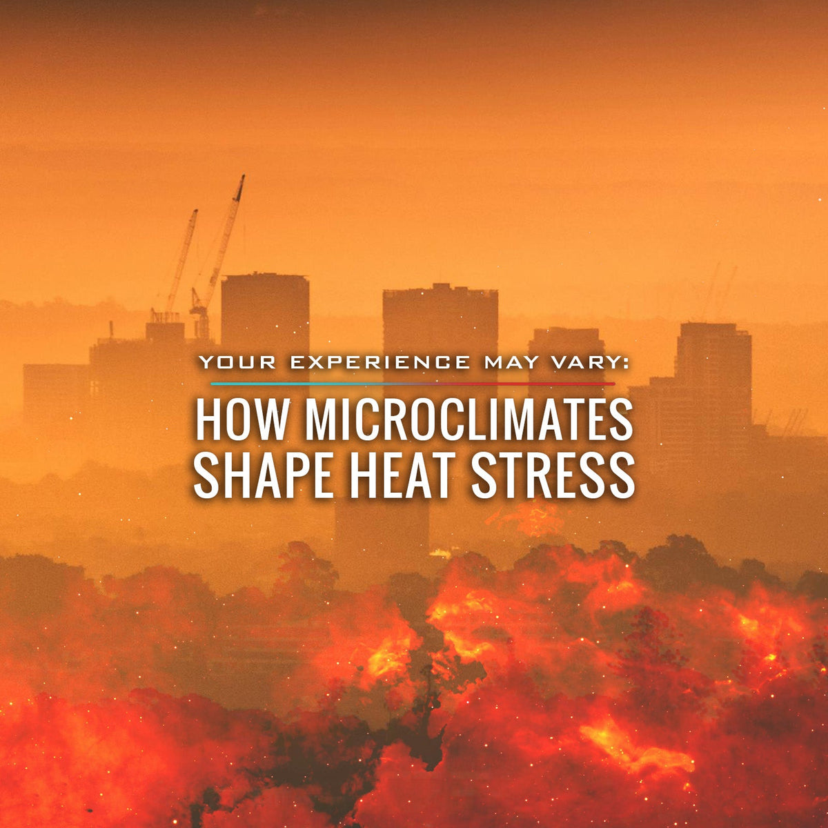 Your Experience May Vary: How Microclimates Shape Heat Stress – Qore ...