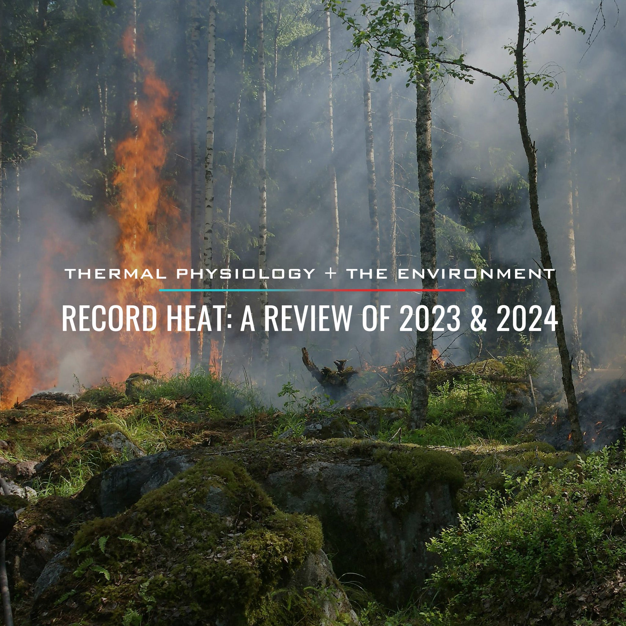 Record Heat: A Review of 2023 and 2024