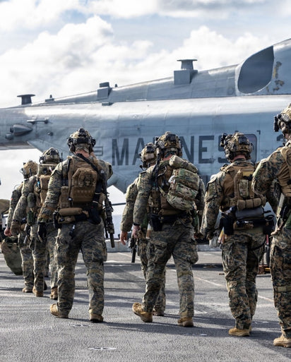 Technical Plate Carrier Review: US Army MSV Military Plate Carrier ...